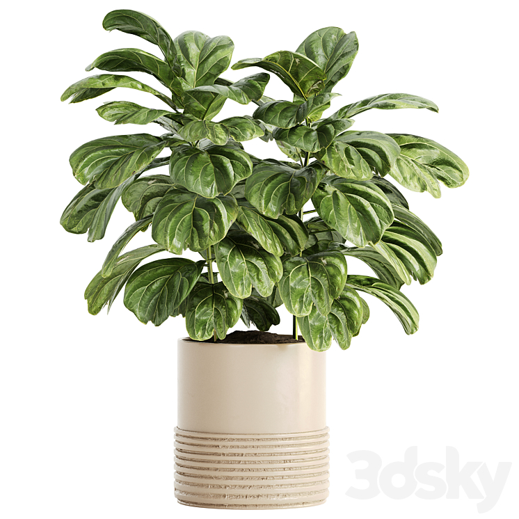 Indoor Plant Set 071 Indoor 3d Model