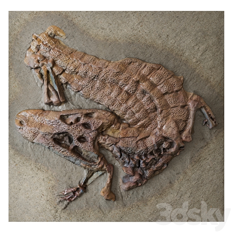 Archaeology Alligator - Other decorative objects - 3D model