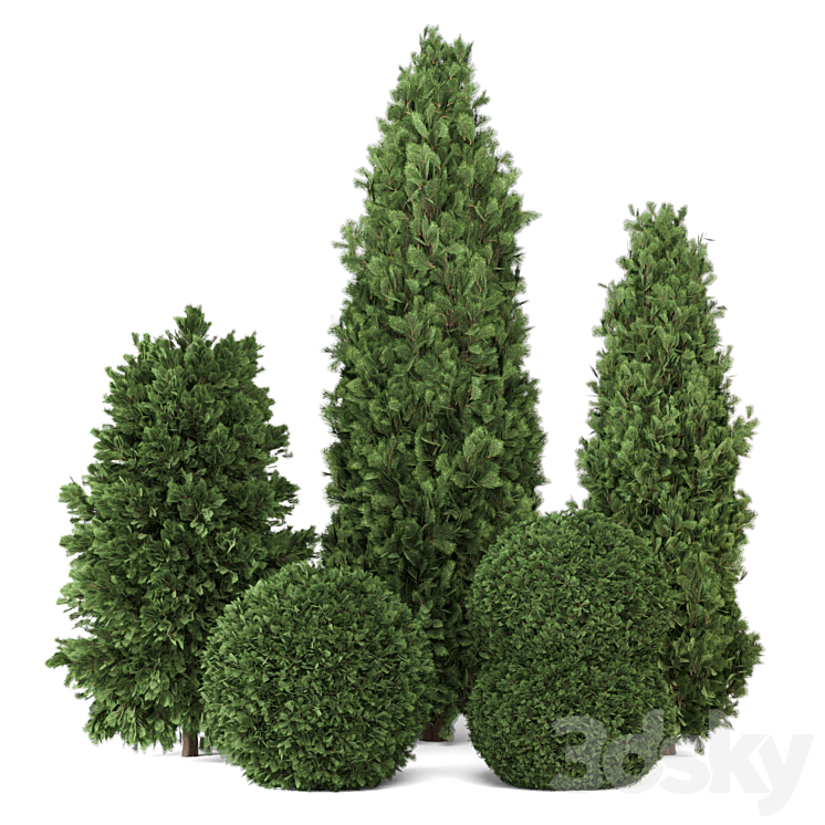 Outdoor Pine Tree Plants Bush_Set 2872 - Bush - 3D model