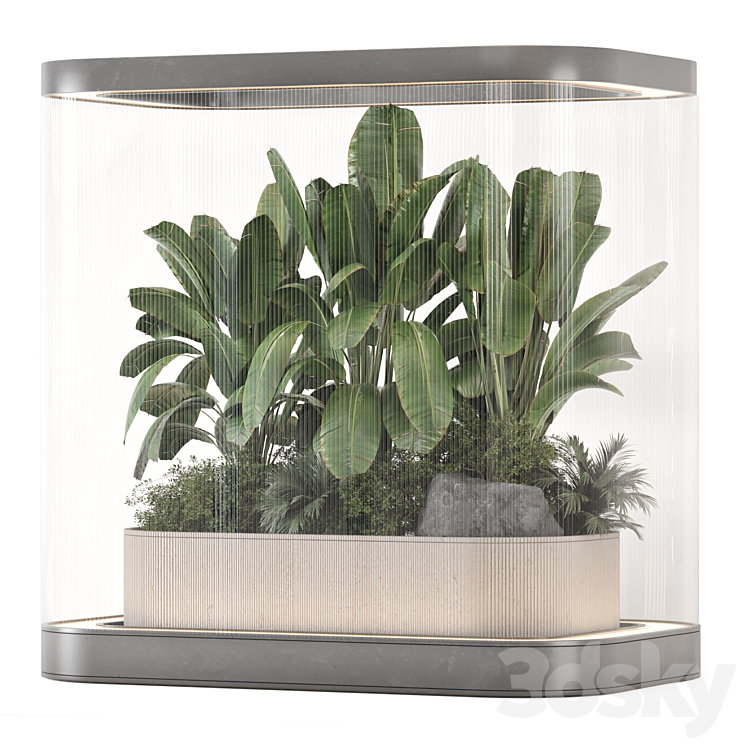 Indoor Plants Garden Behind the Glass_Set 3125 - Indoor - 3D model