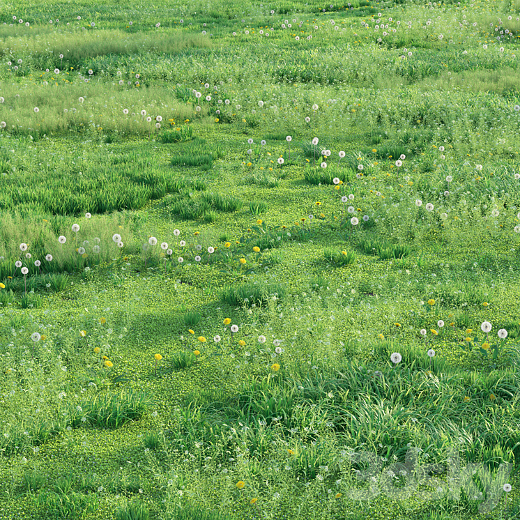 Spring meadow grass - Grass - 3D model