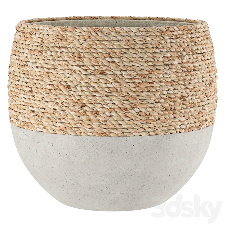 Accent Decor Reed Pot - Vase - 3D model