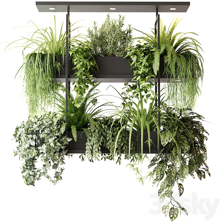 Hanging plants, indoor plant, hanging plants OSLO - Indoor - 3D model