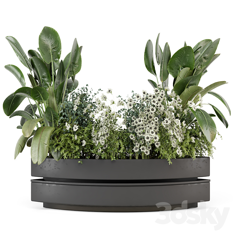 Outdoor Plants Bush_Bush Set 3458 - Indoor - 3D model