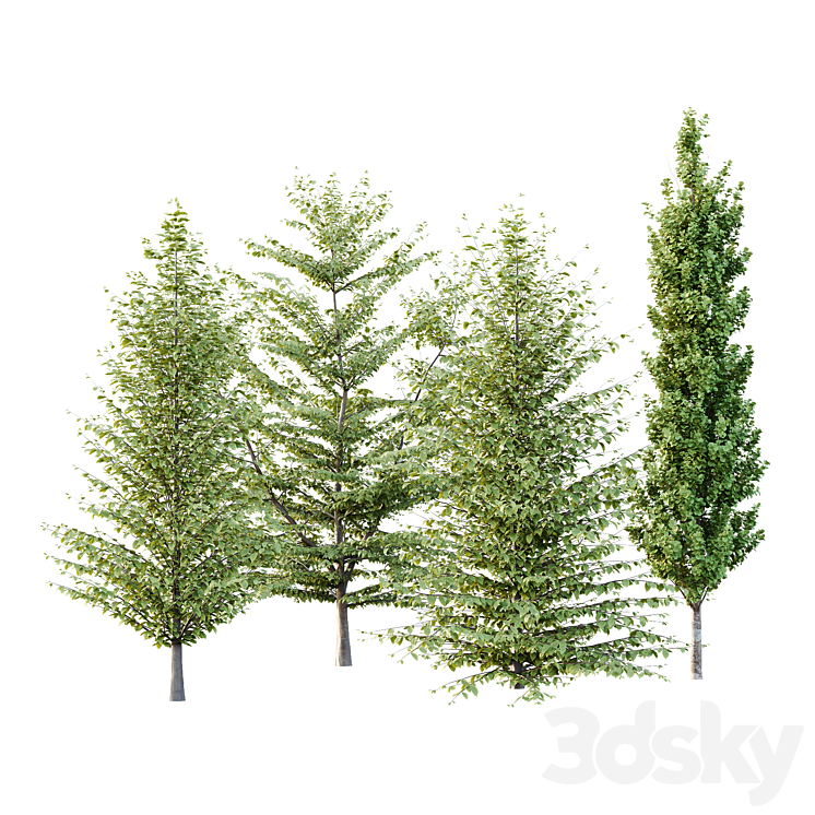 Different Trees 58 - Tree - 3D model
