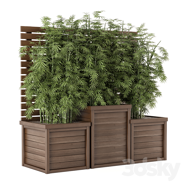 Outdoor Bamboo Plants Wooden Base_Set 3691 - Outdoor - 3D model