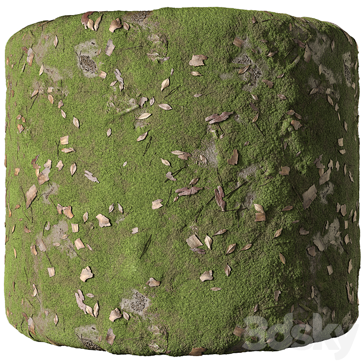 Seamless moss with autumn grass, branches and leaves, material mossy ...