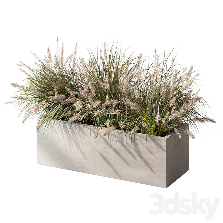 Outdoor Grass & Pampas Plant Set.155 - Outdoor - 3D model