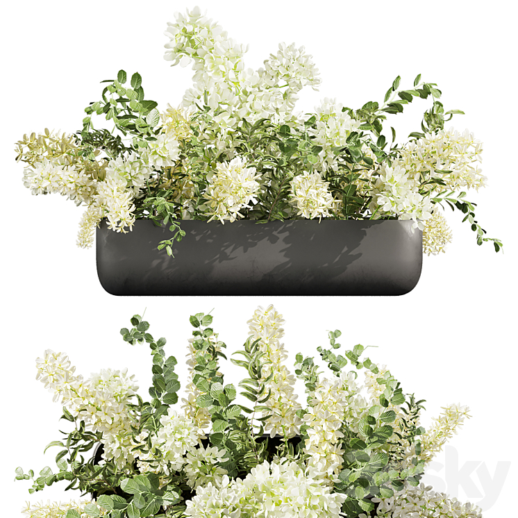 Collection plant vol 771 - flower - leaf - Indoor - 3D model