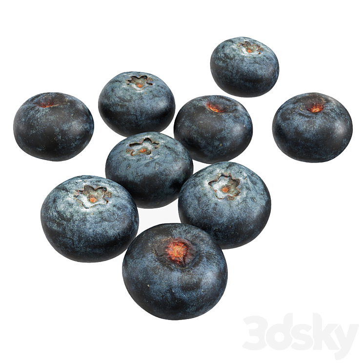 Blueberries - Food and drinks - 3D model
