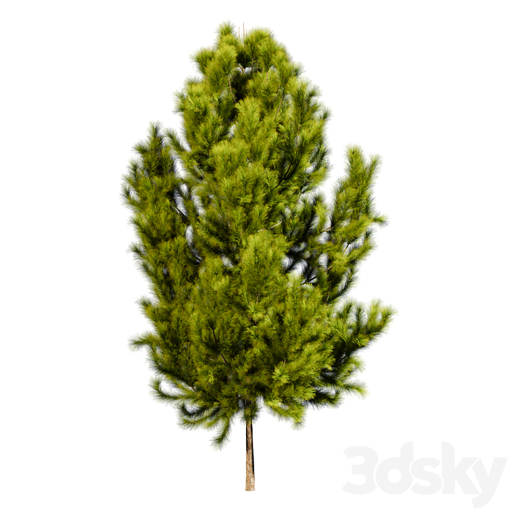 Pine 140 cm - Tree - 3D model