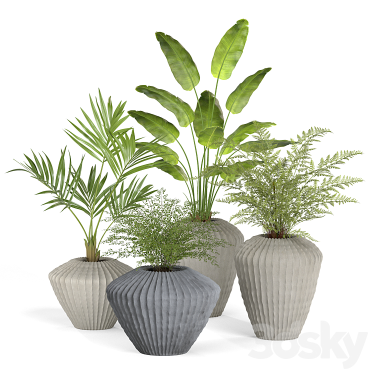 Treez Set 81 - Indoor - 3D model