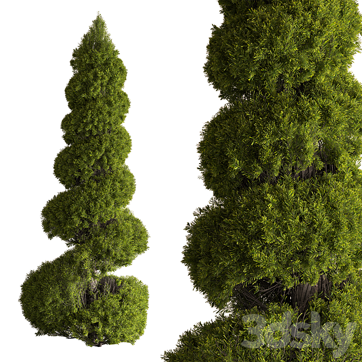 Spiral Topiary Tree Set 437 - Tree - 3D model