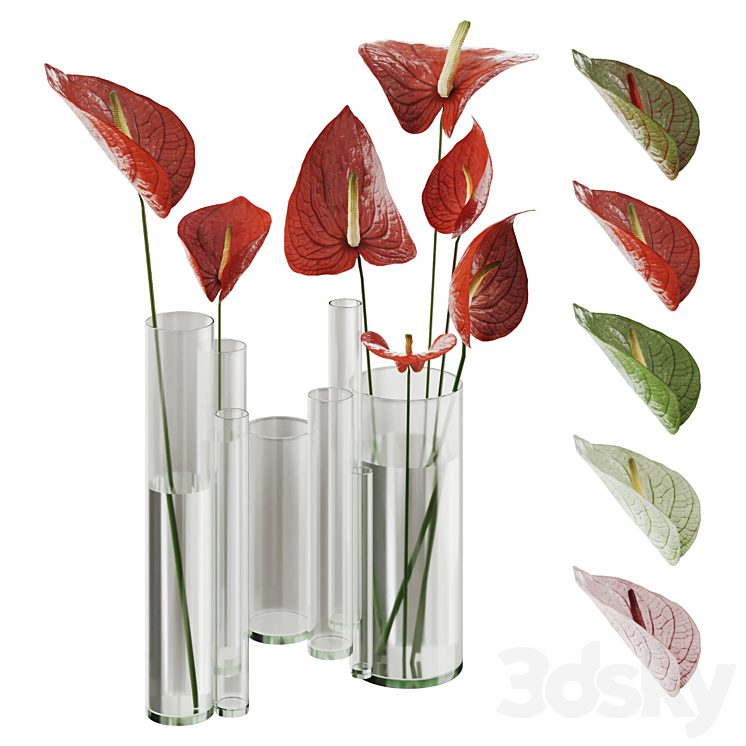 Bouquet of Anthuriums of Different Colors - Bouquet - 3D model