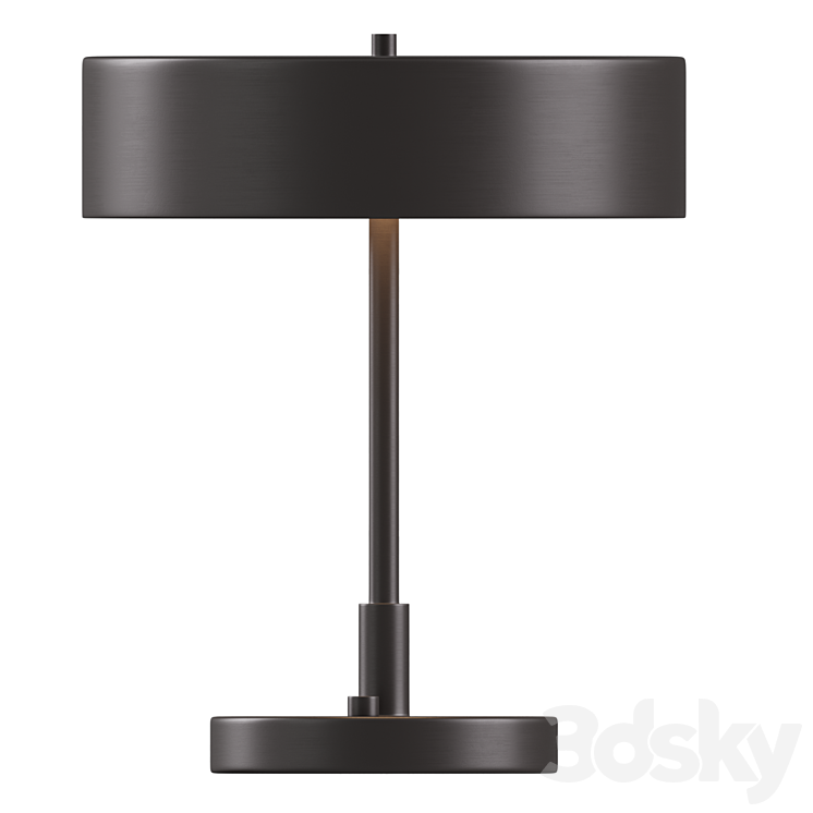 Zain Dark Pewter Gray Table Lamp - Table lamp - 3D model